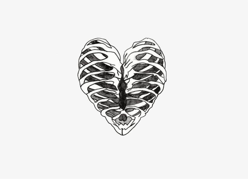 Heart, Bones, And Black And White Image - Skeleton Heart Transparent ...