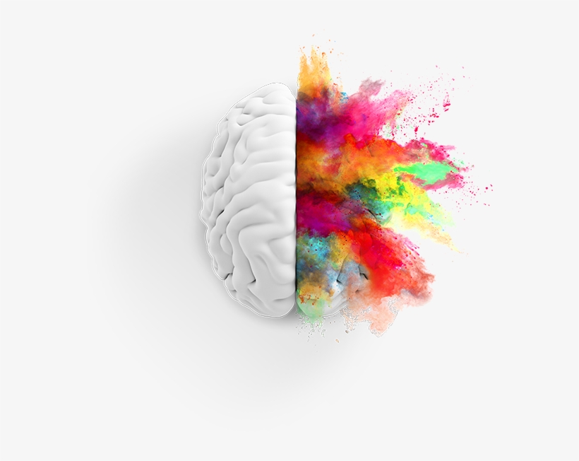 Shiny Things And Flashy Stuff - Full Color Life [book] - 596x571 PNG ...