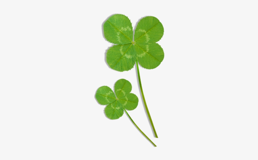 Clover Clipart, 4 Leaves, Four Leaf Clover, Watercolor - Clip Art ...