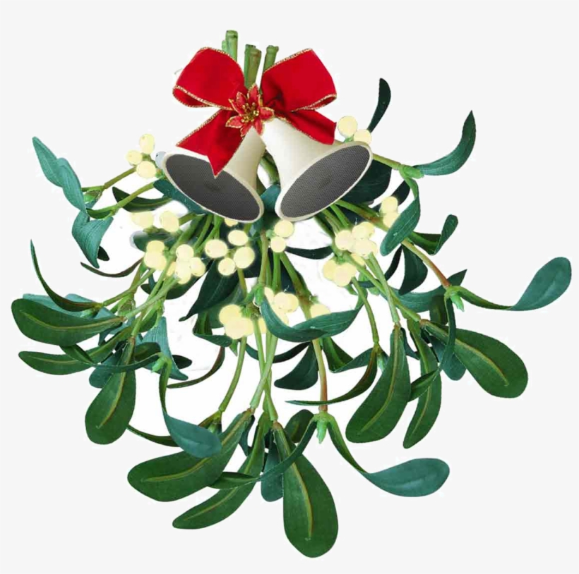 Christmas Mistletoe Tumblr Download - Kiss Me Under Mistletoe ...
