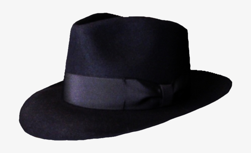 Mlg Fedora Png - Cowboy Hat - 800x800 PNG Download - PNGkit