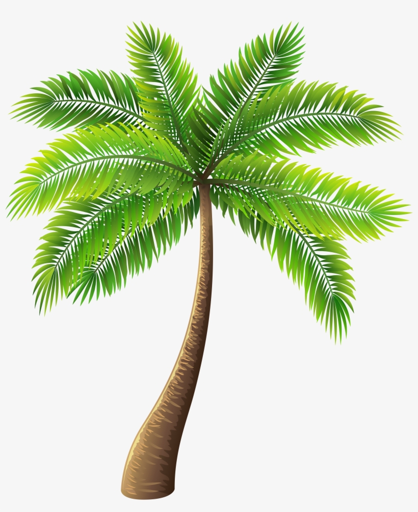 Palm Tree Png Clip Art - Palm Tree Png Cartoon - 5134x6000 PNG Download ...
