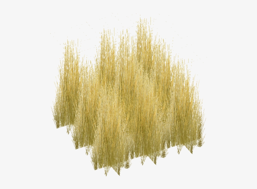 3d Tree, Entourage, Trees To Plant, Donuts, Monitor, - Tall Grass ...