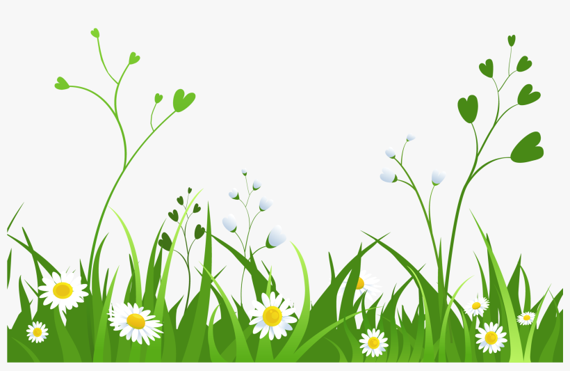 Grass Png Hd - Fazal Name - 1024x629 PNG Download - PNGkit