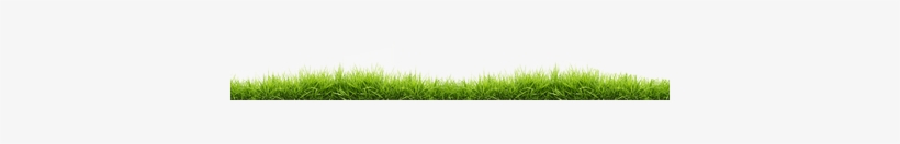 Download Transparent Small Line Of Grass - Grass - PNGkit