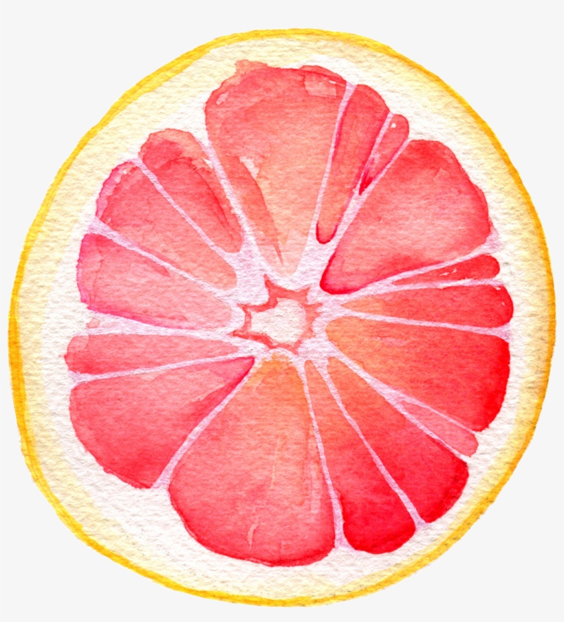 Watercolor - Grapefruit - Grapefruit Watercolor Painting - 1416x1480 PNG Download - PNGkit
