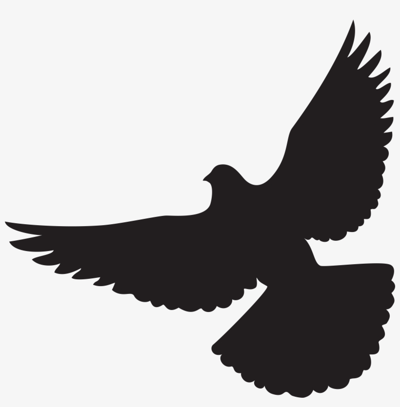 Dove Png - 8000x7727 PNG Download - PNGkit