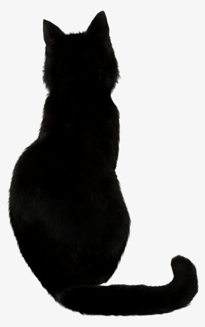 Black Cat - Back Of A Black Cat - 771x1228 PNG Download - PNGkit