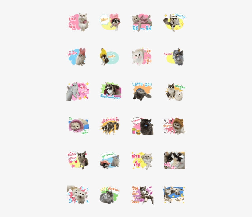 Line Creators' Stickers - Animal - 420x673 PNG Download - PNGkit