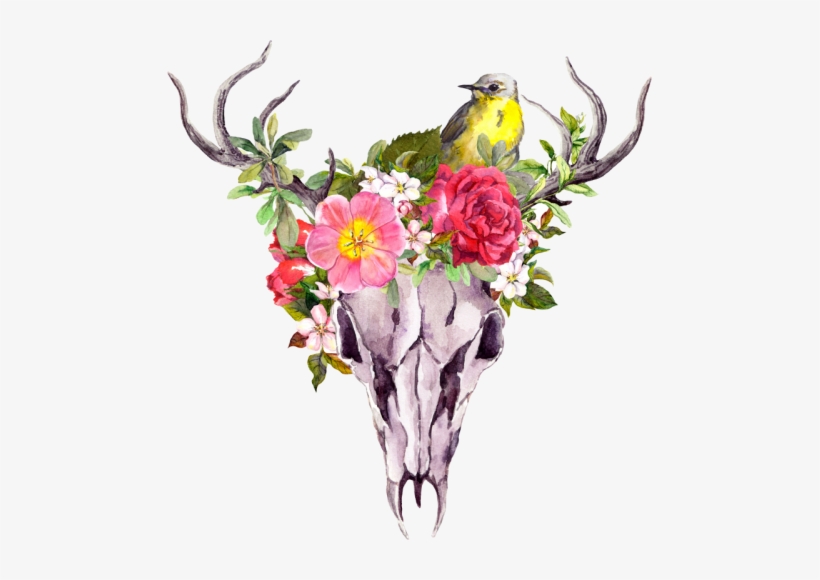 Skull Flowers - 485x500 PNG Download - PNGkit