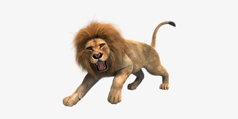 Sher Png - 425x340 PNG Download - PNGkit