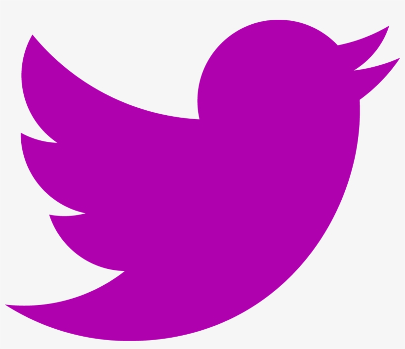 Twitter-purple - Purple Twitter Logo Transparent - 1139x926 PNG ...