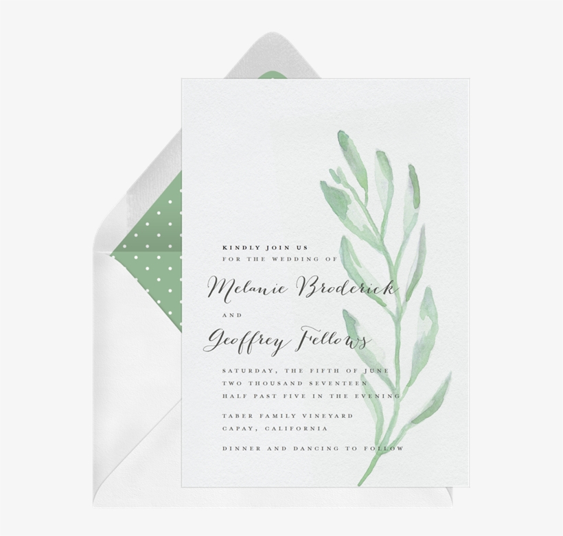 Invitations In Green Greenvelope - Olive Branch Png Watercolour - 550x701 PNG Download - PNGkit