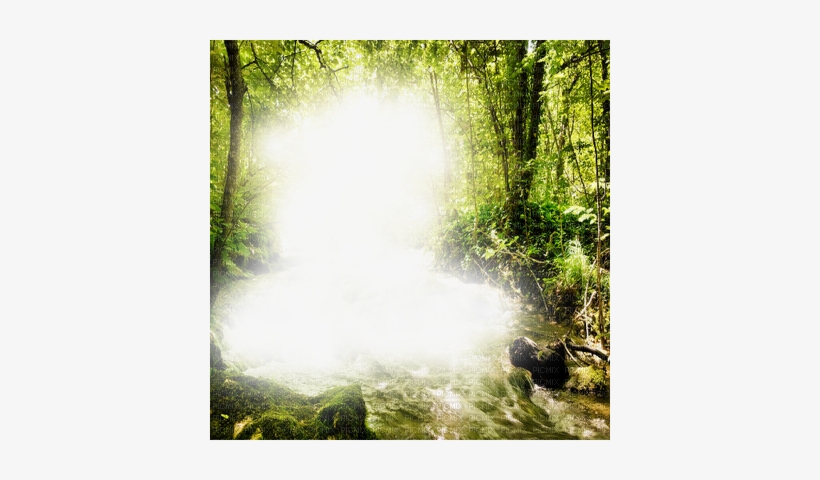 Forest Frame - Png Image Forest Frame - 400x400 PNG Download - PNGkit