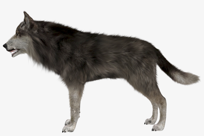 Pc Mob, - Wolf Side Png - 1920x1080 PNG Download - PNGkit