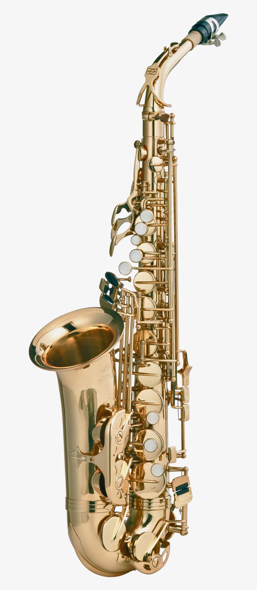 Transparent Background Sax Png - 800x1872 PNG Download - PNGkit