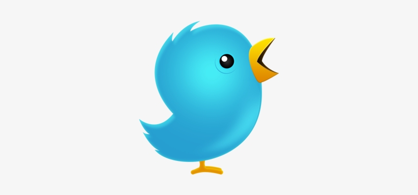 Source - - Cute Twitter Logo Png Transparent Background - 650x350 PNG ...
