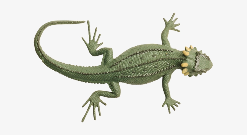 Lizard Png - Lizard Tail Png - 599x368 PNG Download - PNGkit