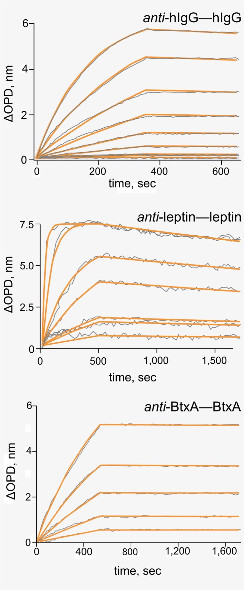 Antibody Binding - Diagram - 1100x1938 PNG Download - PNGkit