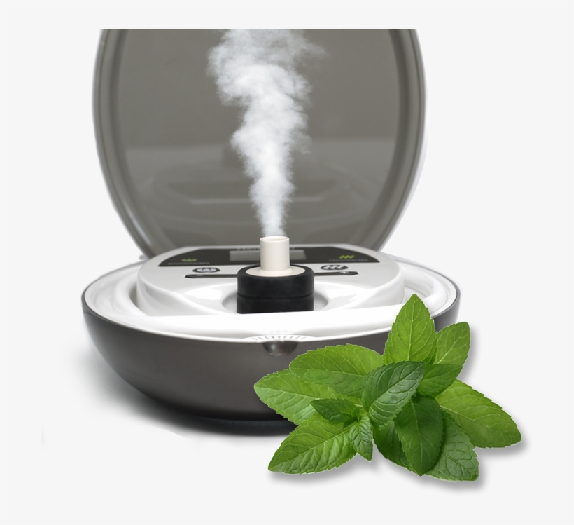 Vaportherapy-pic 564 Kb - Vapor Machines For Weed - 750x680 PNG ...