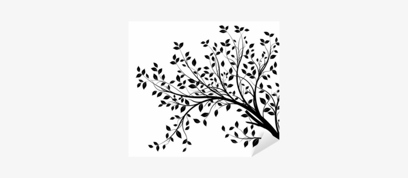 Tree Branches Silhouette Isolated White Background - Write Romantic ...