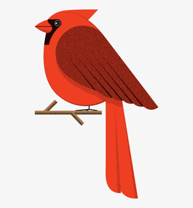 Halftone Illustrator, Photoshop & Indesign Pattern - Illustrator ...