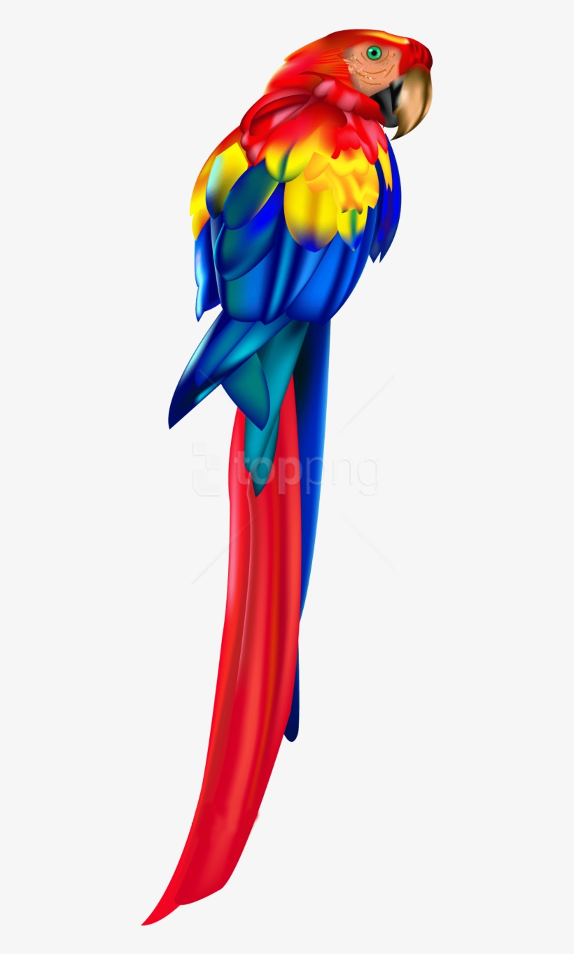 Free Png Download Red Parrot Clipart Png Photo Png - Parrot - 480x1319 ...