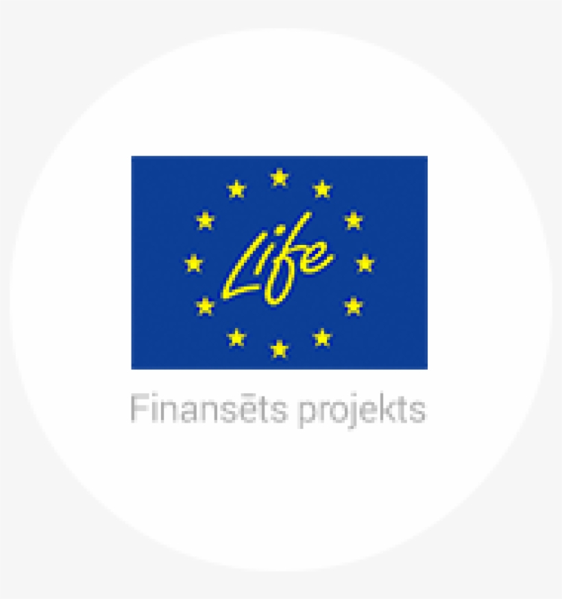 Life-800x - Life Programme - 800x800 PNG Download - PNGkit