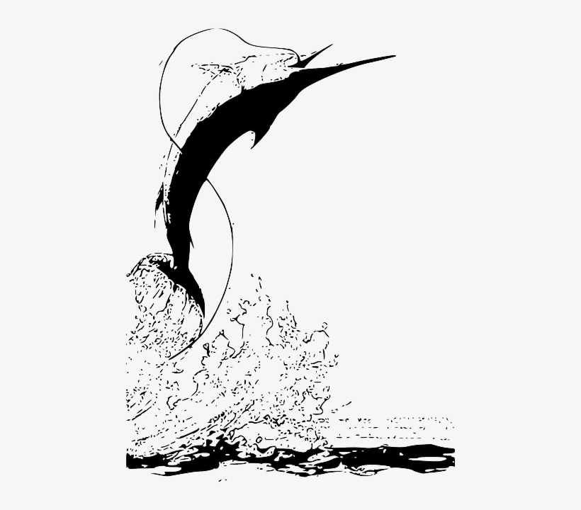 Water, Fight, Fish, Splash, Jumping, Fishing, Swordfish - Fish Splash ...