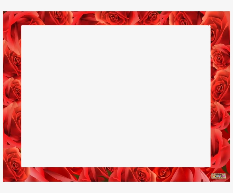 Marcos Photoscape Rosas Rojas - Bordes De Rosas Rojas - 800x600 PNG ...