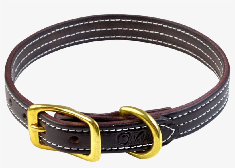 Dog Collar - 1200x960 PNG Download - PNGkit