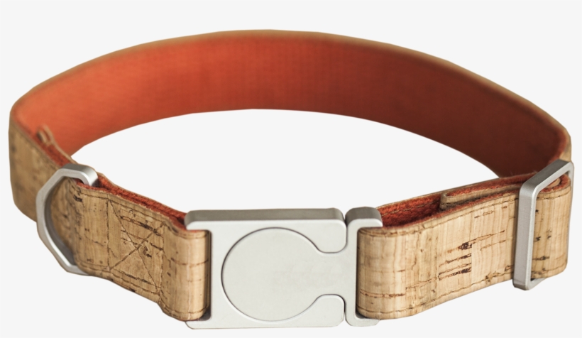 Buckle - 1920x1260 PNG Download - PNGkit