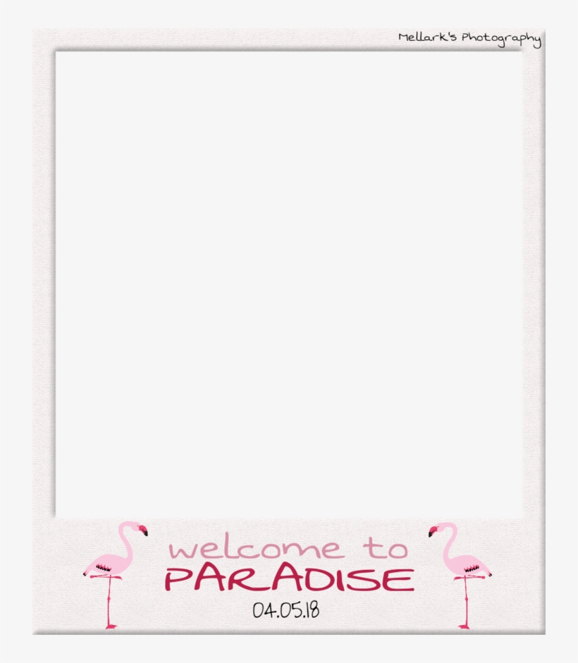 Wtp Polaroids Png - Handwriting - 728x861 PNG Download - PNGkit