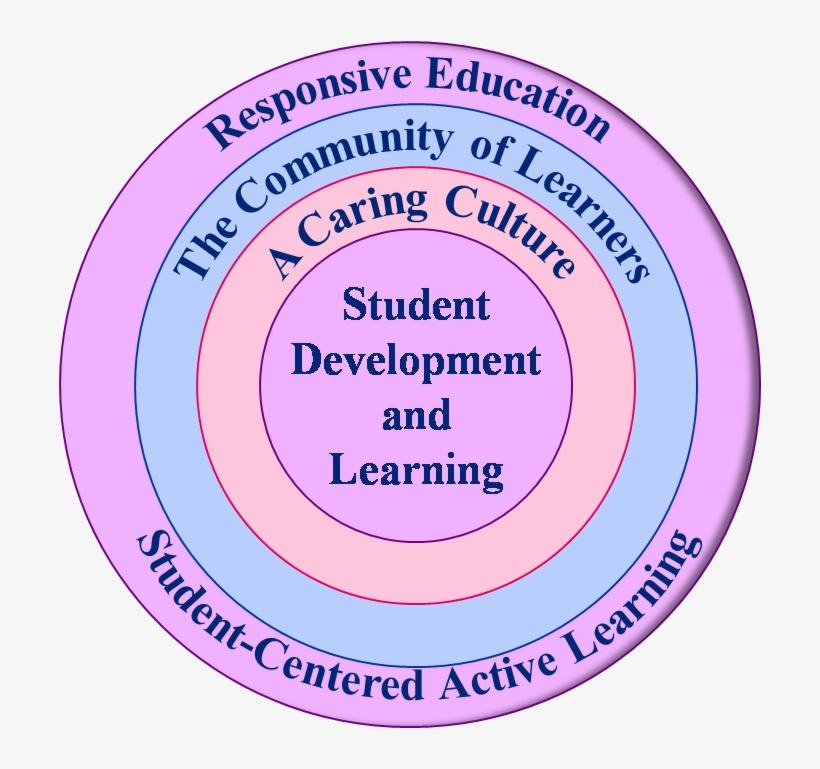 Protective - Learner Centred Approach In Higher Education - 704x689 PNG ...