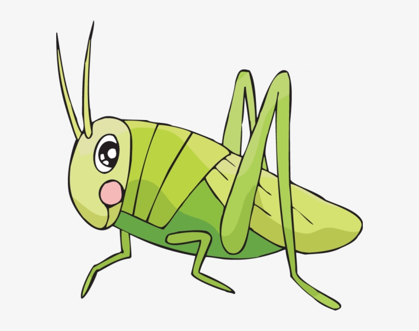 Download Transparent Coloring Sheets For Kids Cricket Learn To Draw By ...