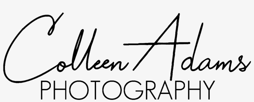 Download Transparent Colleen Adams Photography - Calligraphy - PNGkit
