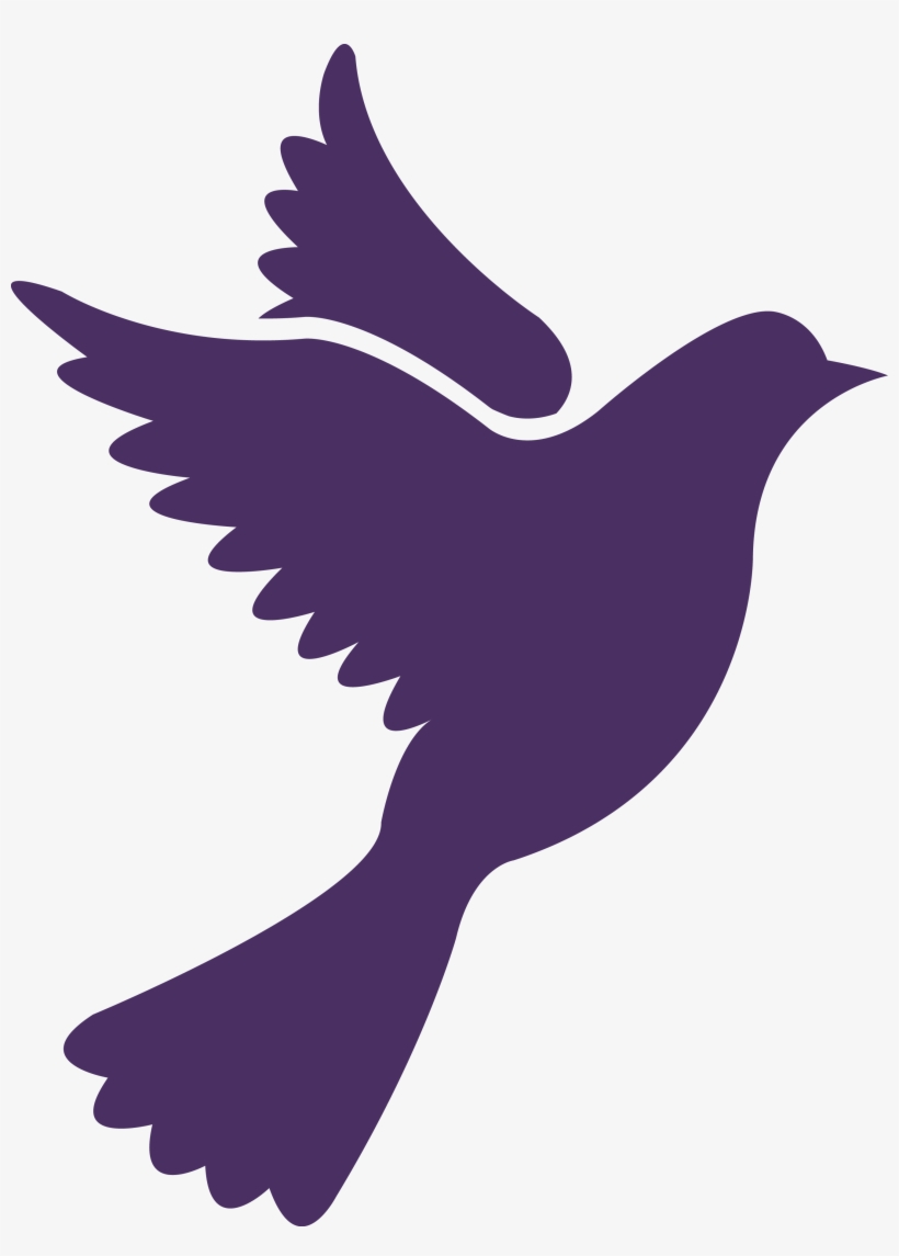 Nuestra Boda Palomas Png - Pigeon Vector - 2641x3560 PNG Download - PNGkit