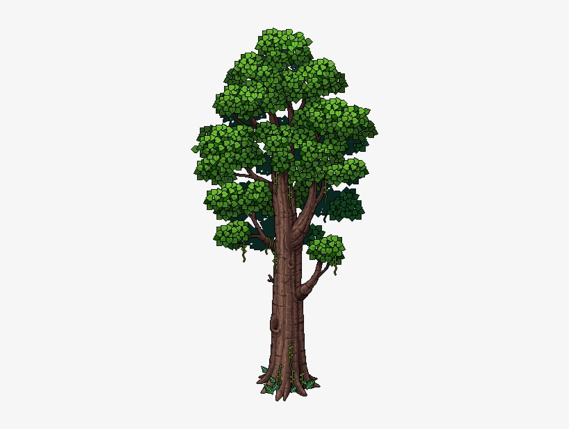 Kapok Tree Clip Art