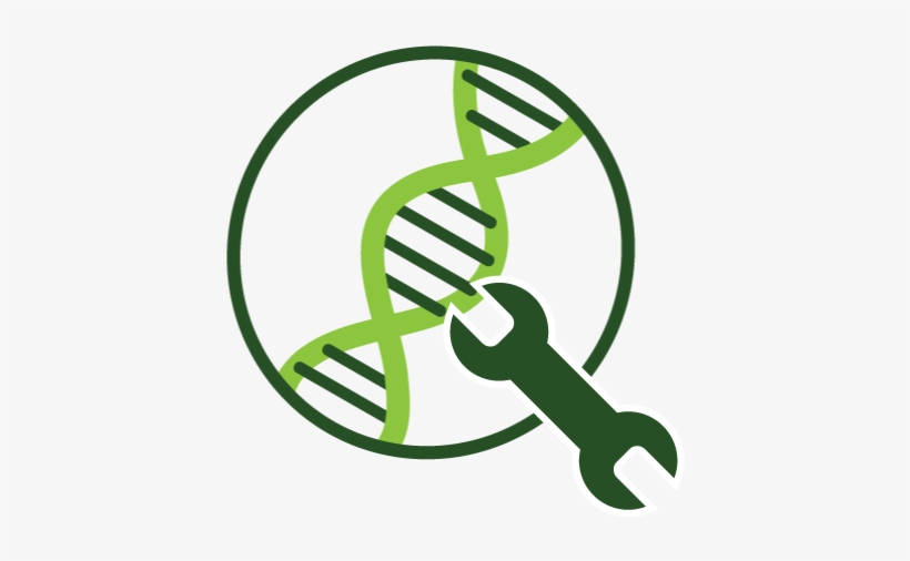 Genetic Engineering Transparent - 500x500 PNG Download - PNGkit