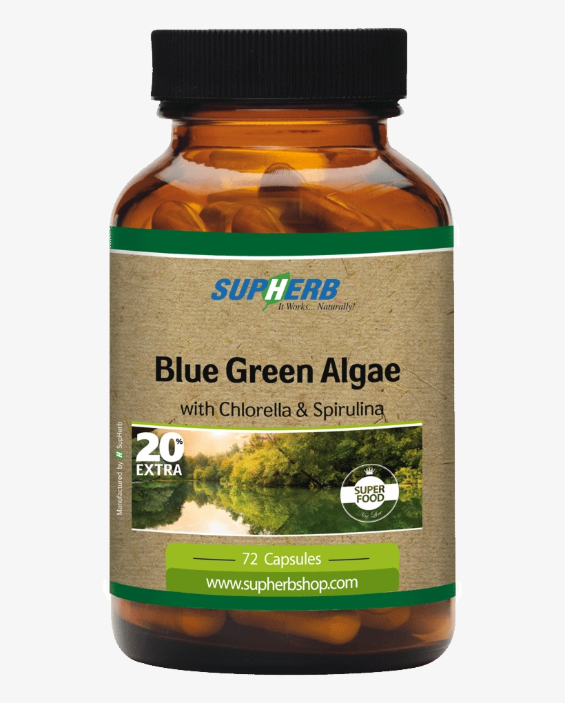 Blue Green Algae - Supherb Blue Green Algae With Chlorella And ...