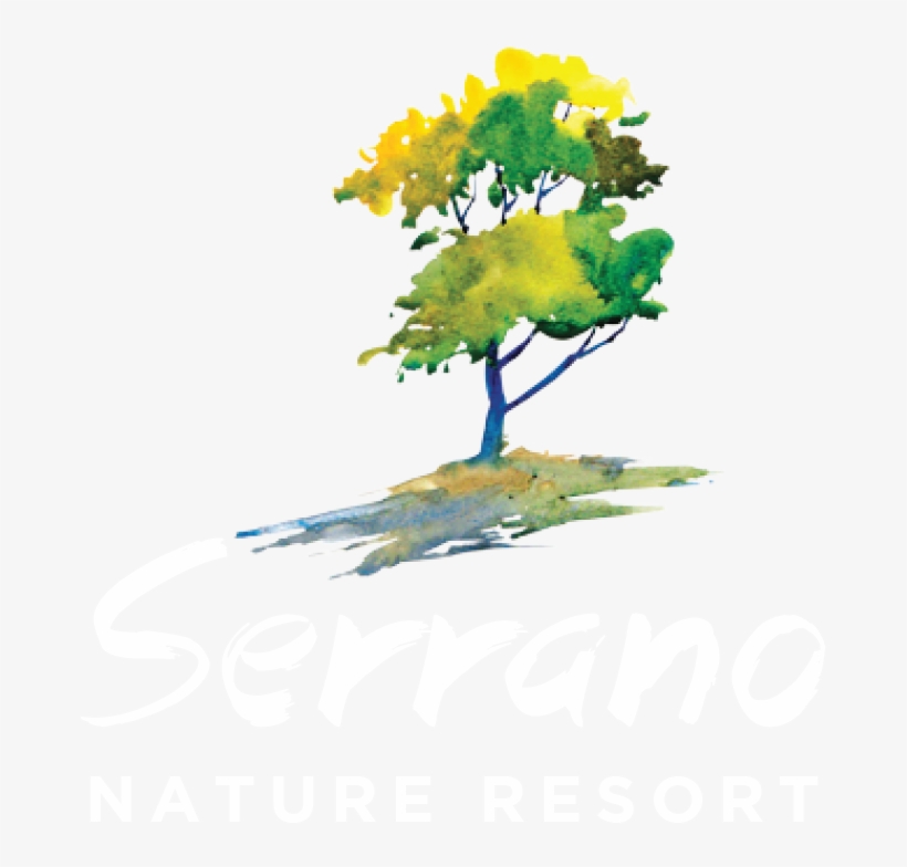 Visit Website Here - Serrano Farms - 674x704 PNG Download - PNGkit
