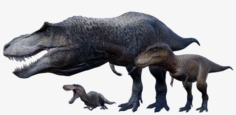 Download Transparent T Rex New Models - T Rex The Isle - PNGkit