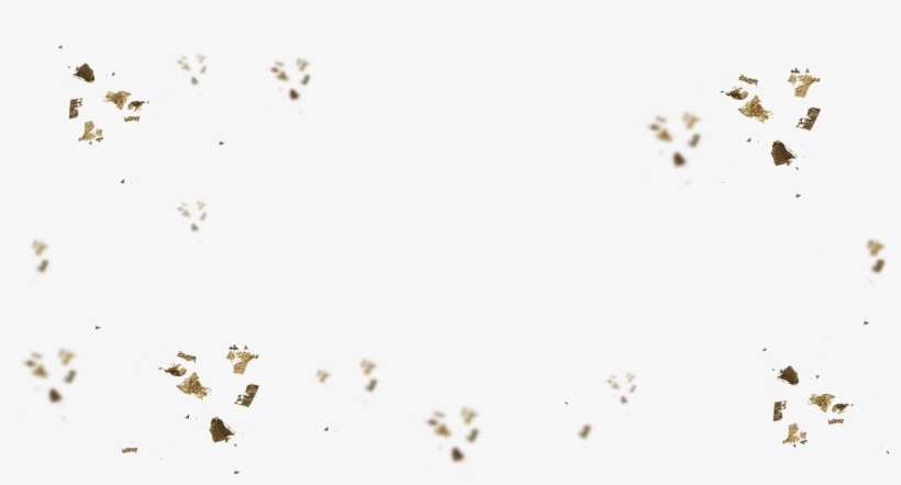 Gold Flakes Png - Library - 2500x1200 PNG Download - PNGkit