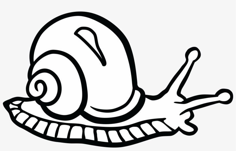 Snail Drawing Png - Snail Clip Art - 4000x2362 PNG Download - PNGkit