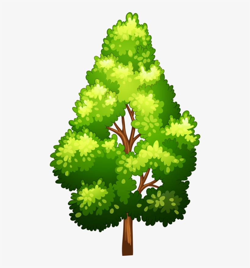 Clipart Tree Science - Tree - 496x800 PNG Download - PNGkit