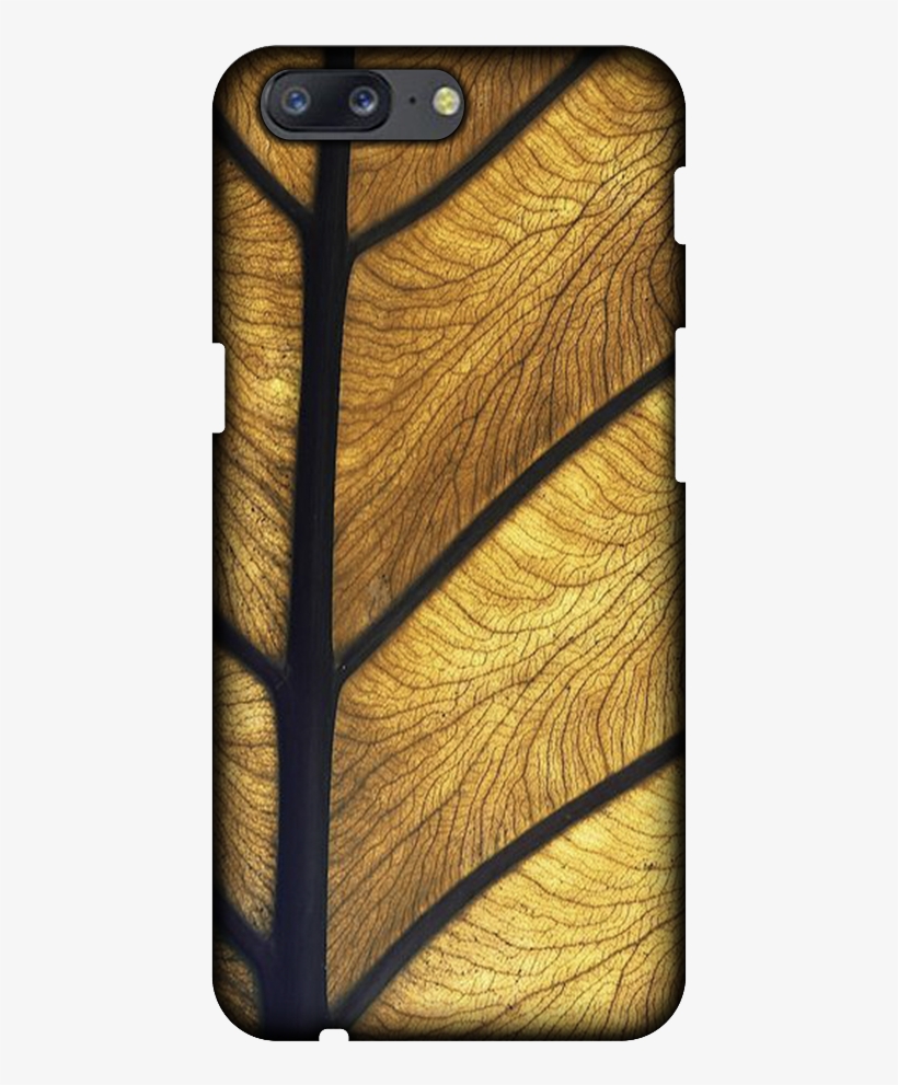 Zoomed In Image Of A Natural Object - 740x1059 PNG Download - PNGkit