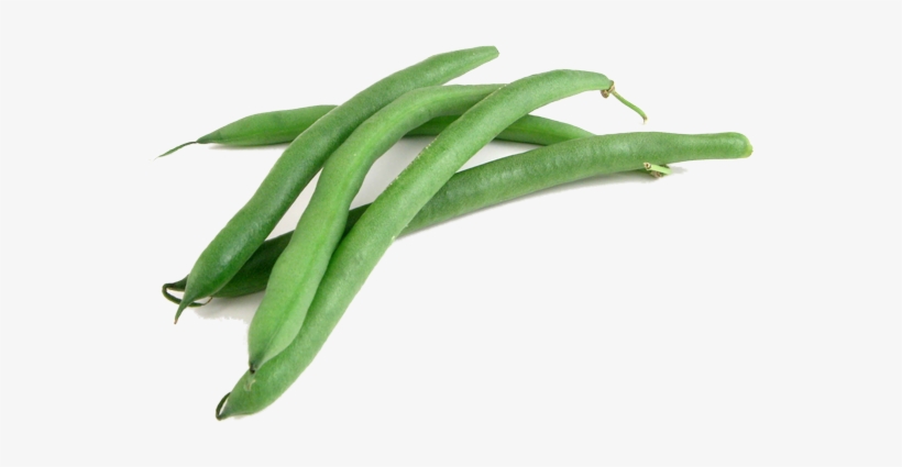 Peas Drawing Runner Bean - Food Items Rich In Minerals - 600x480 PNG ...