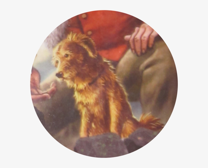 Runner Bean - Charlie Bone And The Shadow Of Badlock [book] - 582x582 ...