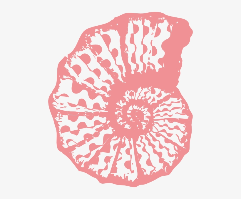 Shell Clipart Pink Seashell - Coral Colored Sea Shell - 492x595 PNG ...