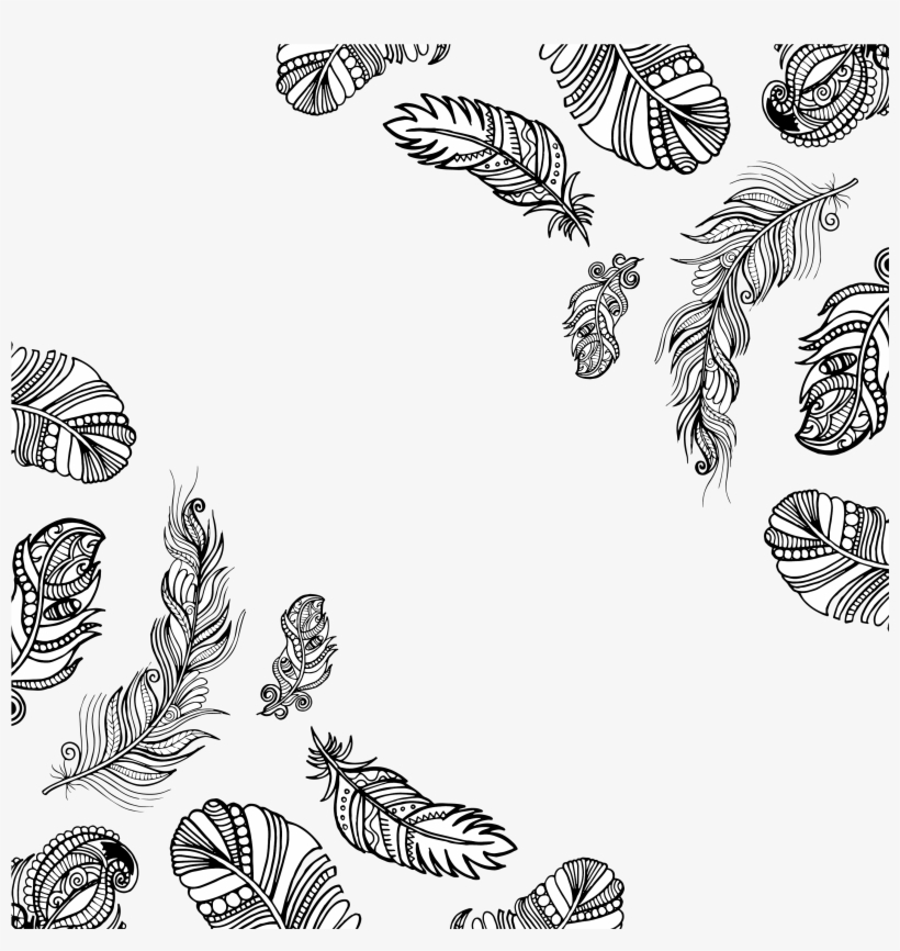 Black And White Feather - Black And White Feather Border - 3671x4023 ...